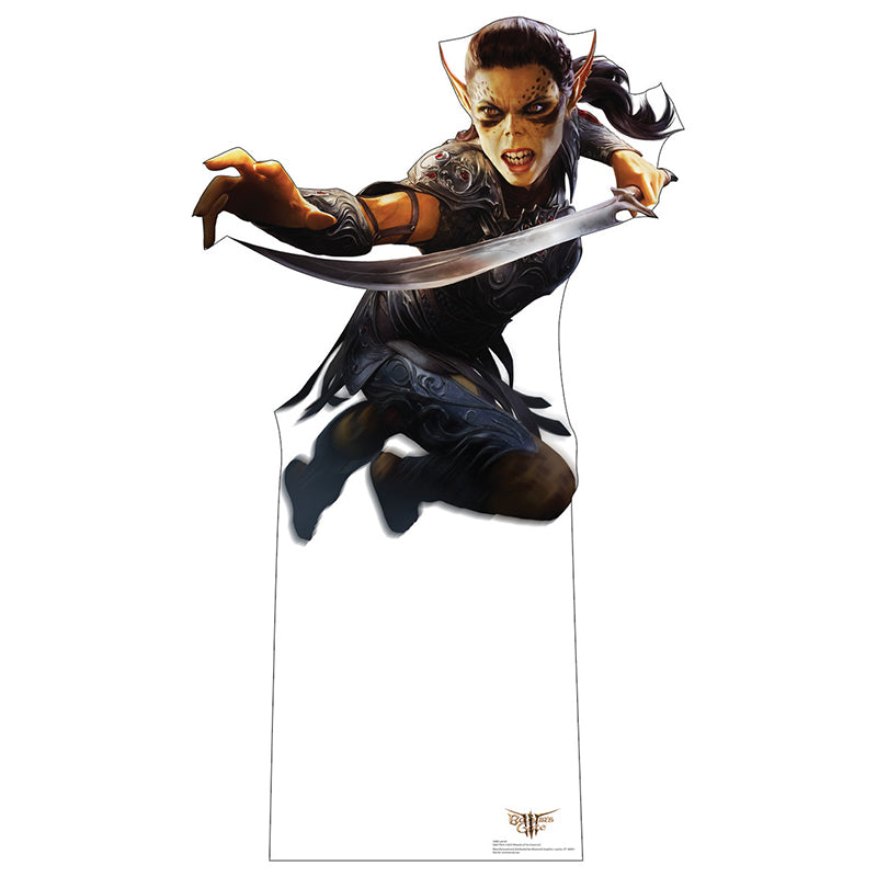 GALE Baldur's Gate Cardboard Cutout Standup Standee – StandingStills.com