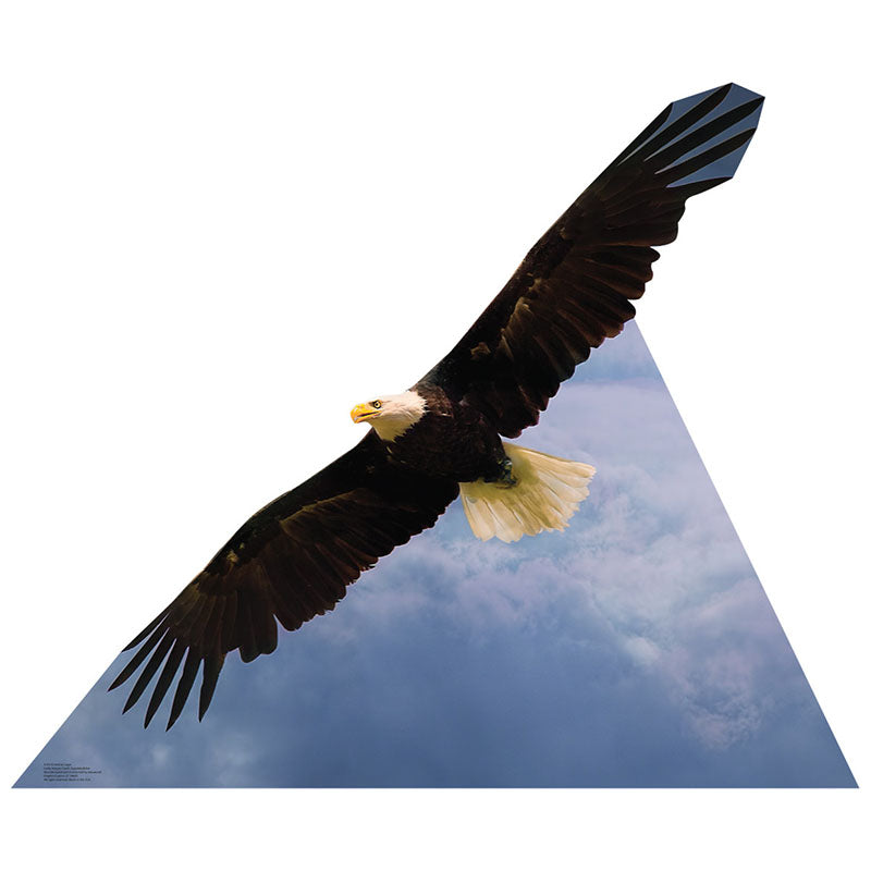 BALD EAGLE Cardboard Cutout Standup Standee – StandingStills.com