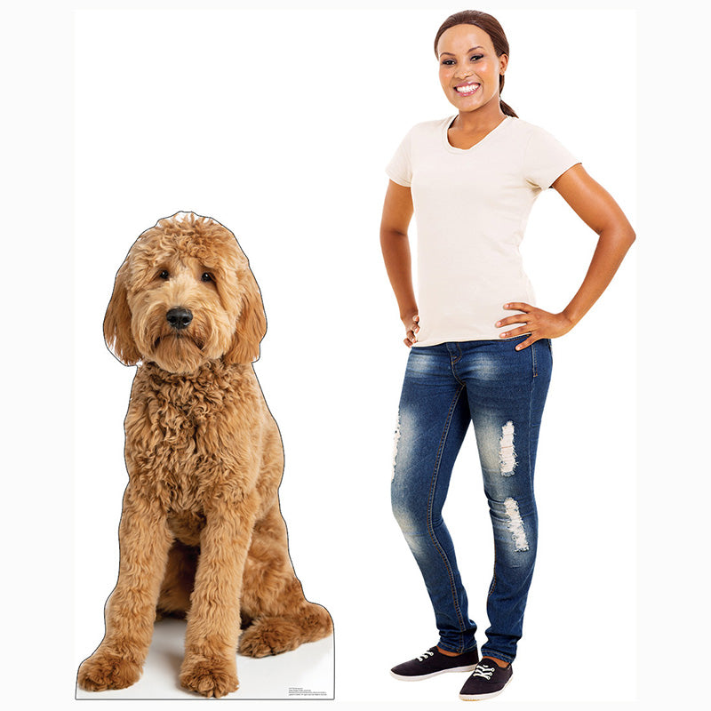 GOLDENDOODLE DOG Lifesize Cardboard Cutout Standup Standee ...