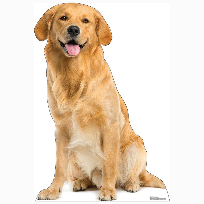 GOLDEN RETRIEVER DOG Lifesize Cardboard Cutout Standup Standee ...