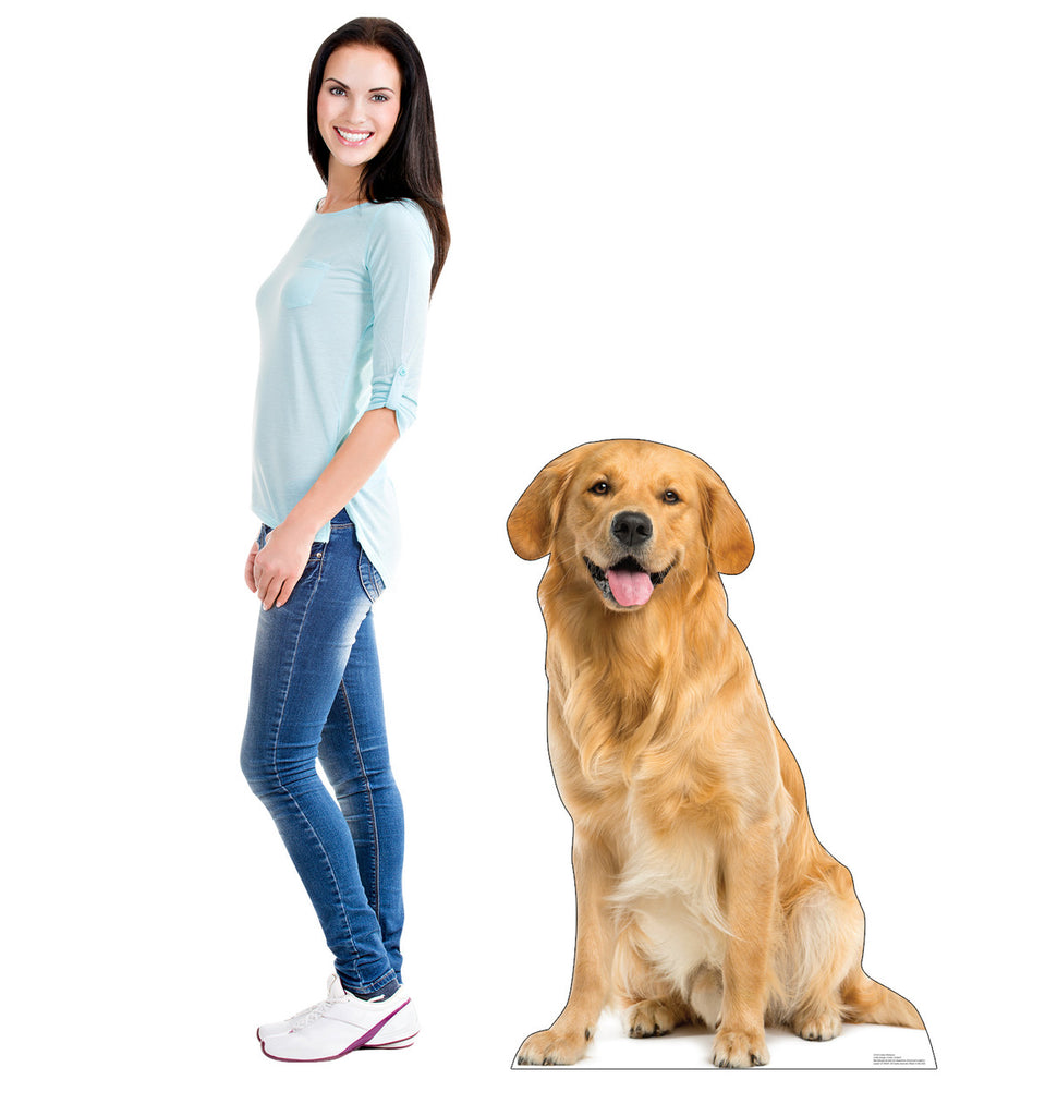 GOLDEN RETRIEVER DOG Lifesize Cardboard Cutout Standup Standee ...