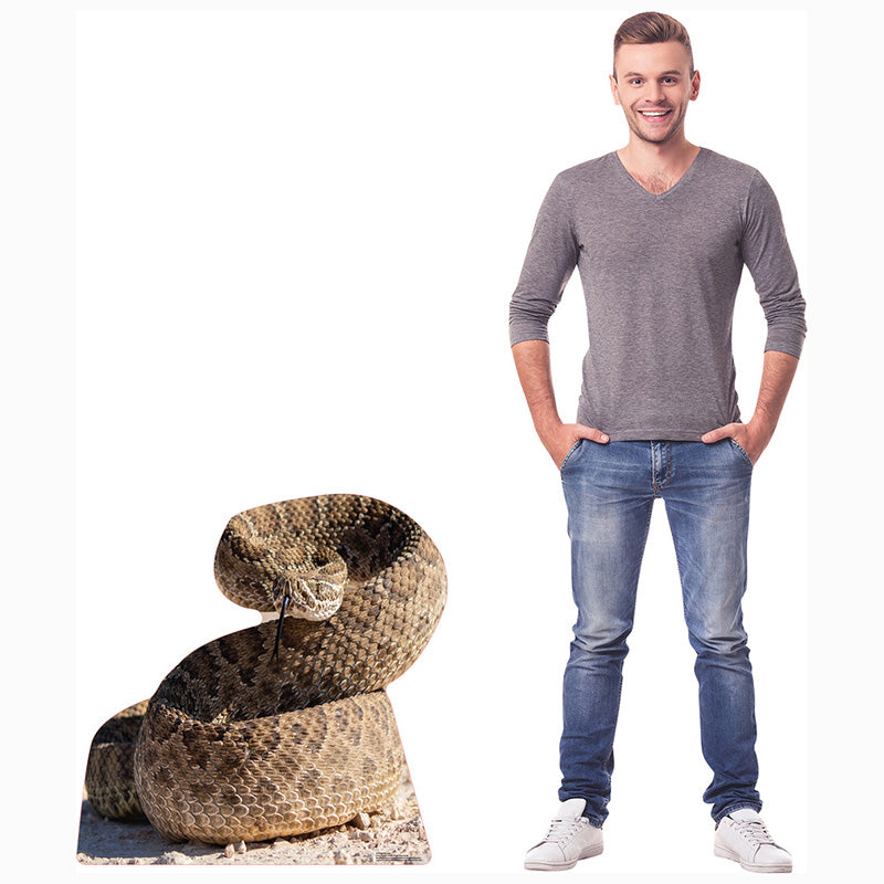 RATTLESNAKE Cardboard Cutout Standup Standee – StandingStills.com