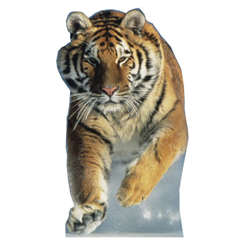 TIGER IN SNOW Cardboard Cutout Standup Standee – StandingStills.com