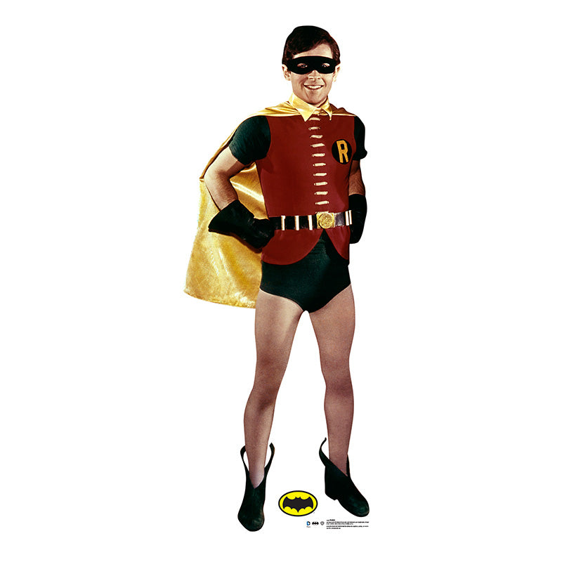 BATMAN AND ROBIN Dynamic Duo 2-Piece Bundle Cardboard Cutout Standups ...