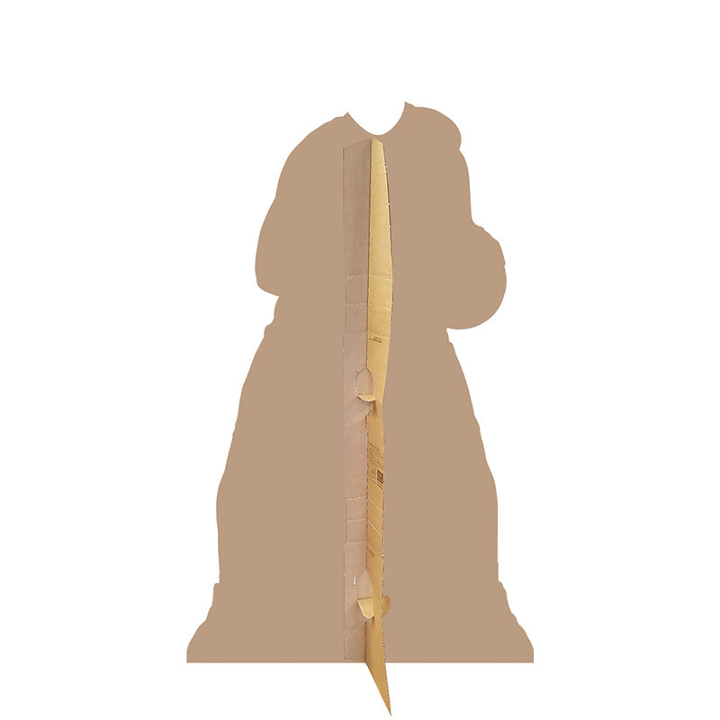 BASKETBALL PLAYER STAND-IN Cardboard Cutout Standup Standee ...