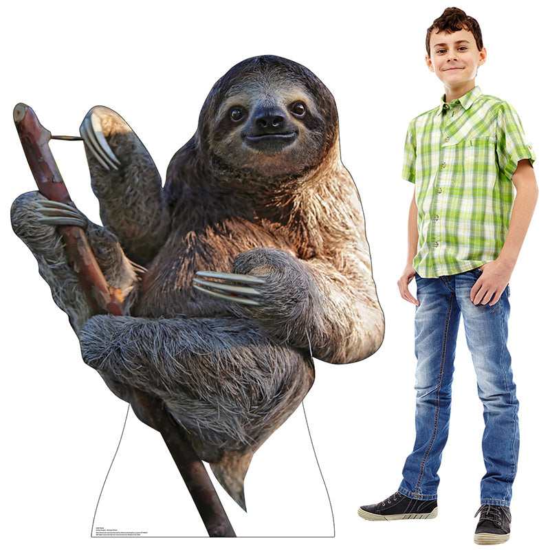 SLOTH Cardboard Cutout Standup Standee – StandingStills.com
