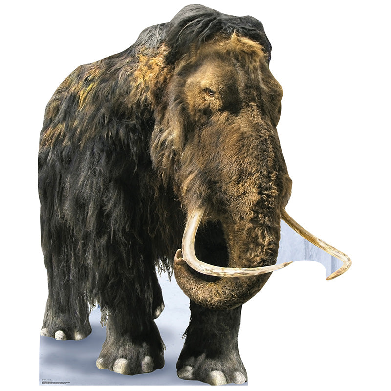 WOOLY MAMMOTH Cardboard Cutout Standup Standee – StandingStills.com
